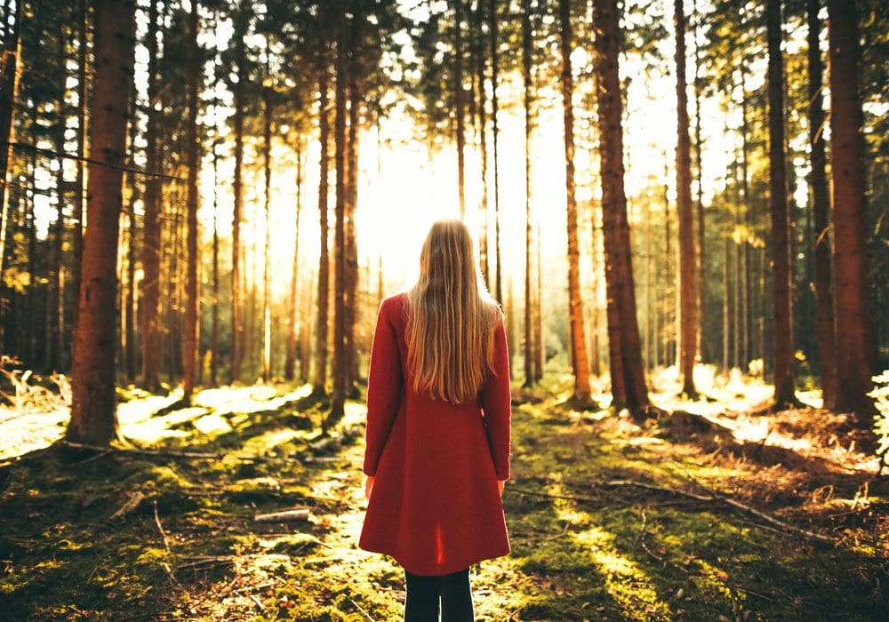 Frasi sul Bosco e sulla Foresta: le 35 più belle (in inglese e italiano)